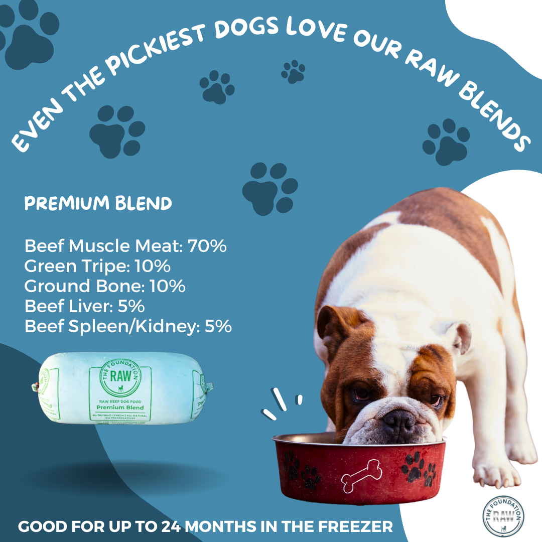 The Foundation Premium Blend | All Beef, No Bull! – The Foundation Raw