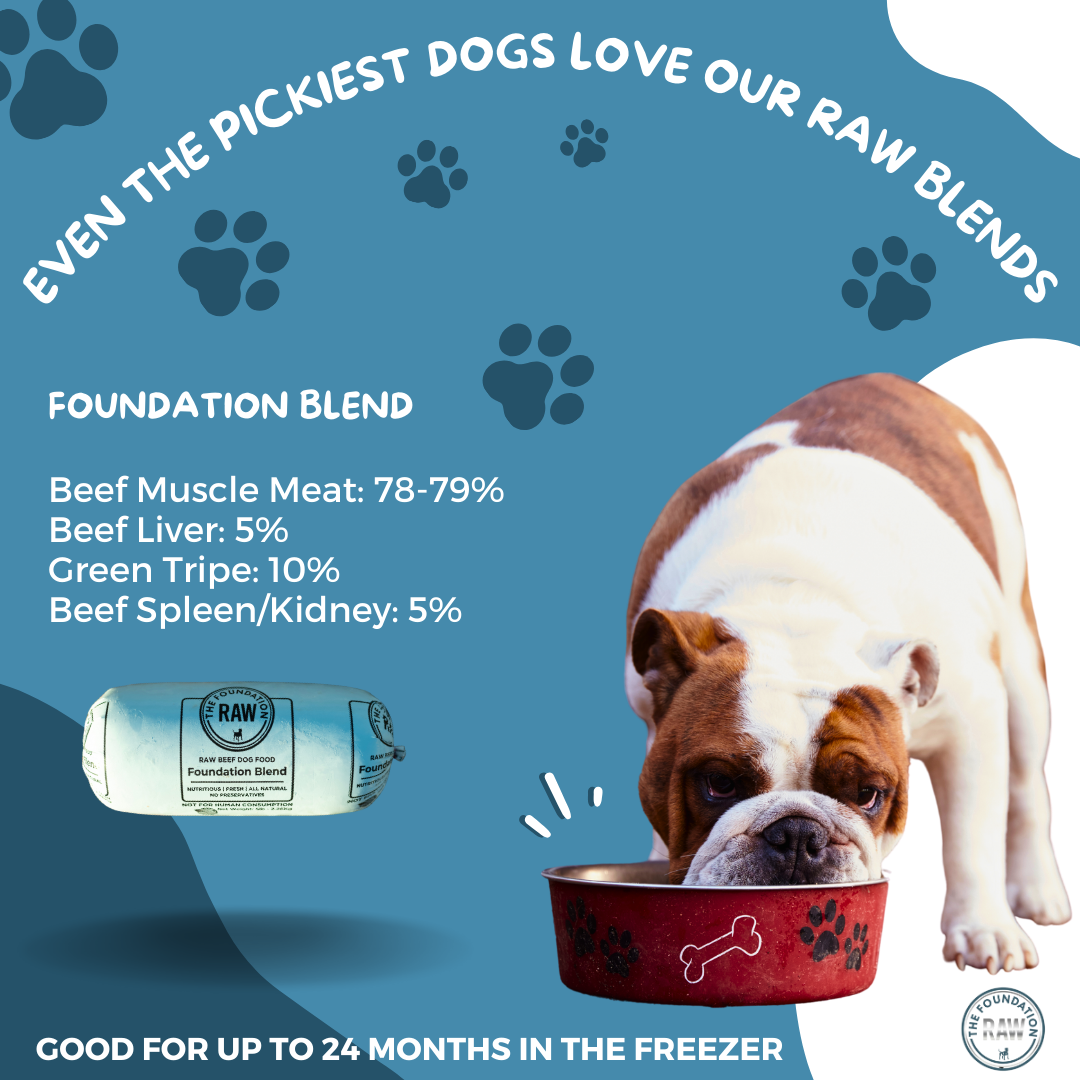 Premium Raw Dog Food | The Foundation Blend | All Beef, No Bull! – The ...