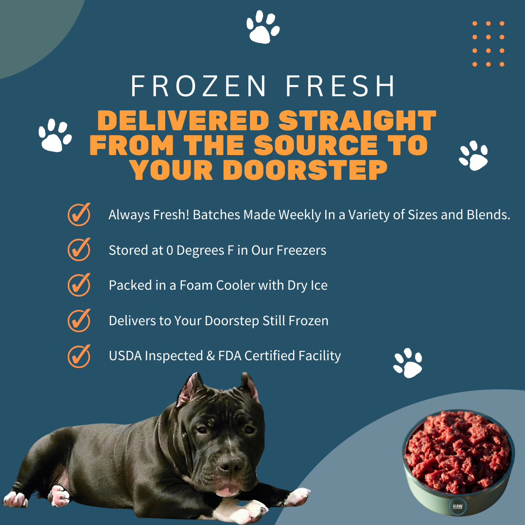 Premium Raw Dog Food | The Foundation Blend | All Beef, No Bull! – The ...