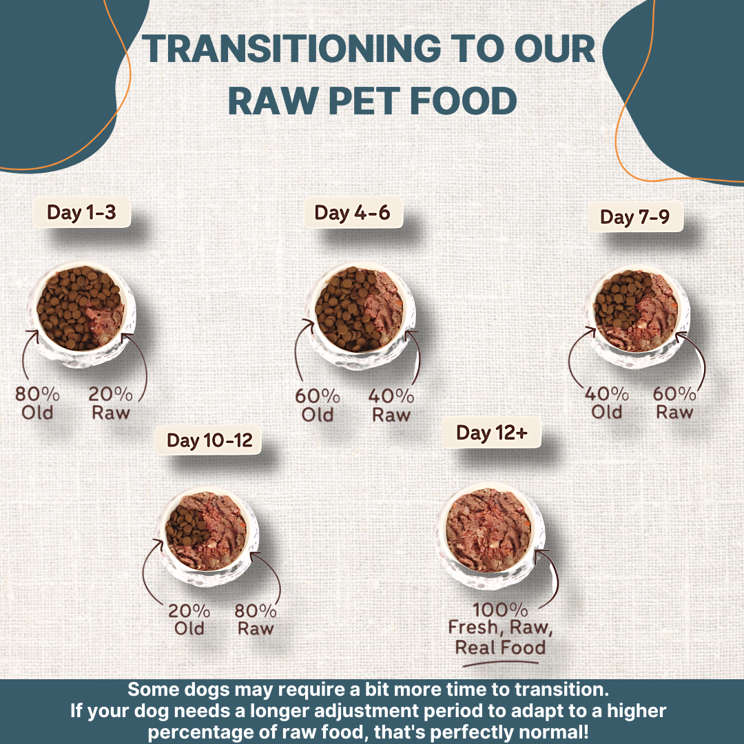 Premium Raw Dog Food | All Beef, No Bull! | BARF, PMR – The Foundation Raw